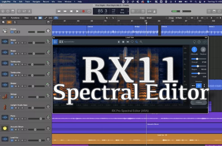 iZotope RX11 软件使用教程-PA / Mix Studio